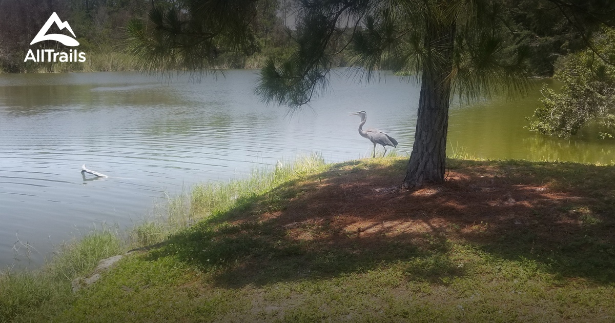 Best hikes and trails in Lake Regional Park | AllTrails