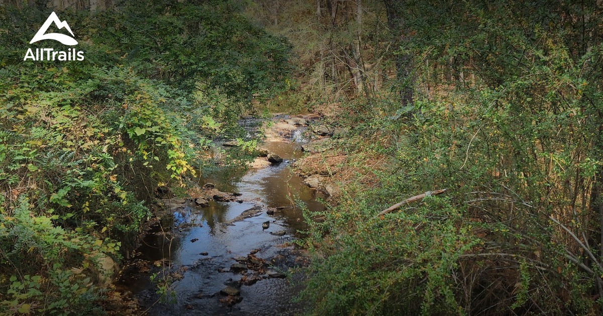 Mason Mill Park : les meilleures randonnées avec chiens en laisse ...
