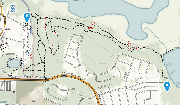 Best Trails in Tom Brown Park - Florida | AllTrails