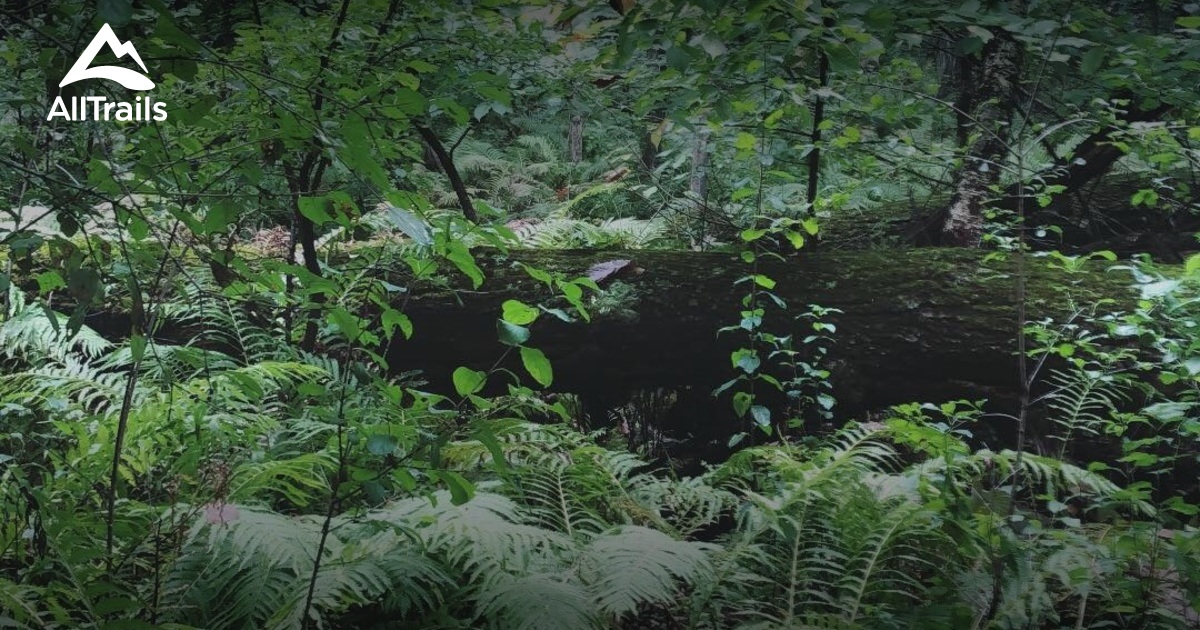 Best hikes and trails in Blackhawk Park | AllTrails