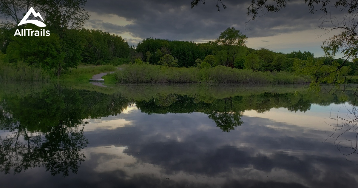 Best hikes and trails in Katherine Abbott Park | AllTrails