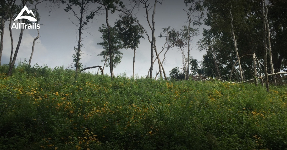 Best hikes and trails in Long Lake Park | AllTrails