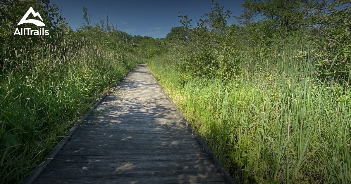 Best hikes and trails in Tamarack Nature Preserve | AllTrails