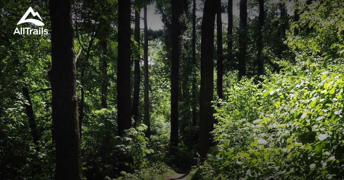 Best Trails in Theodore Wirth Park - Minnesota | AllTrails