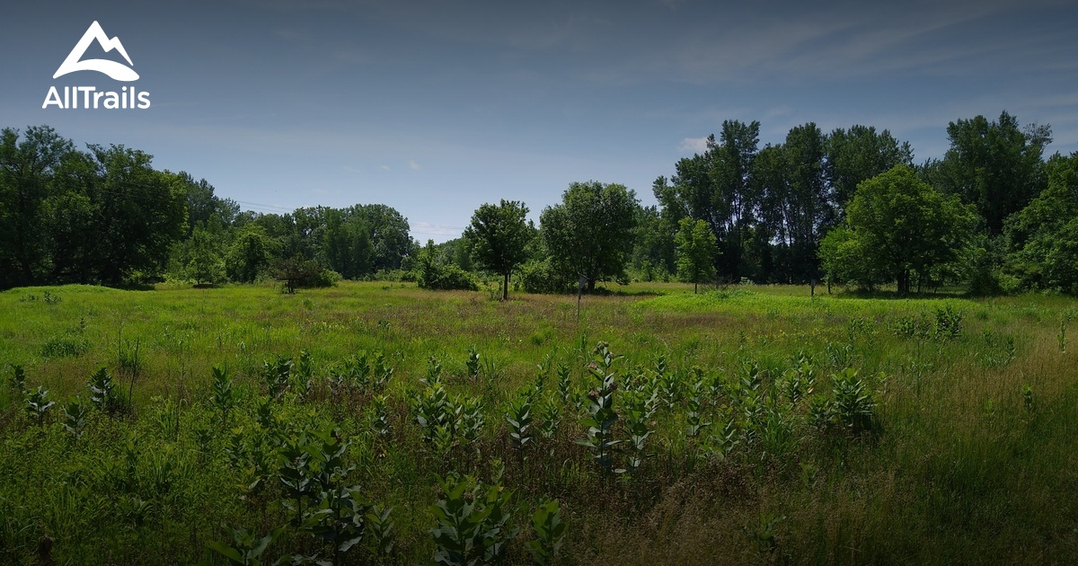 Best hikes and trails in Wickiup Hill County Park | AllTrails