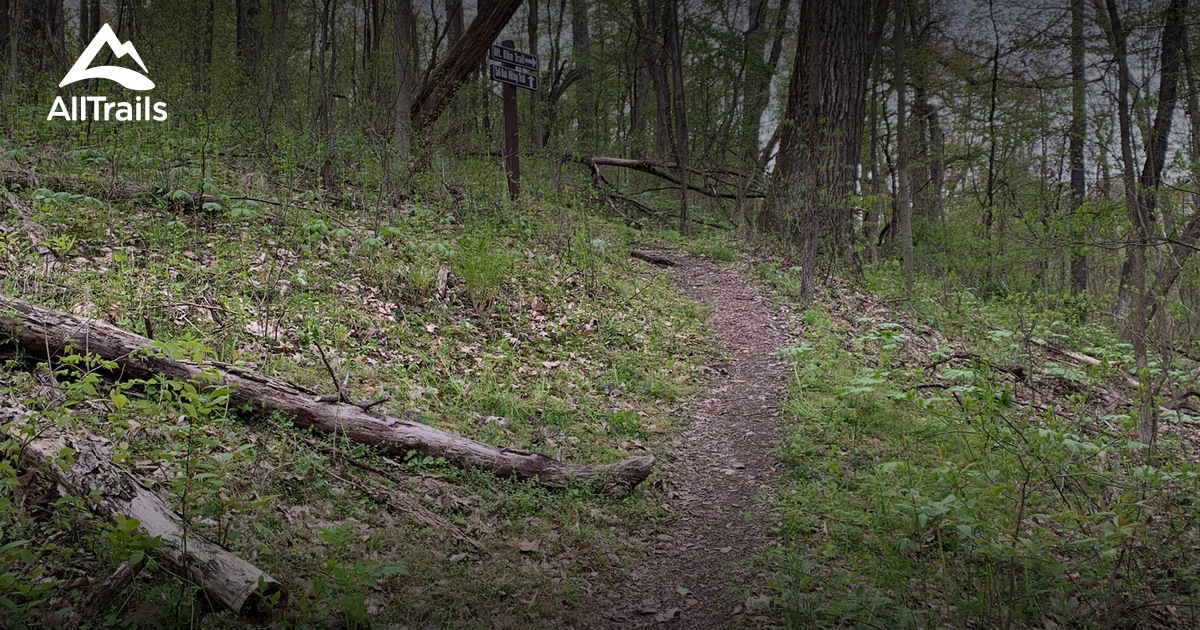 Best hikes and trails in Acorn Park | AllTrails
