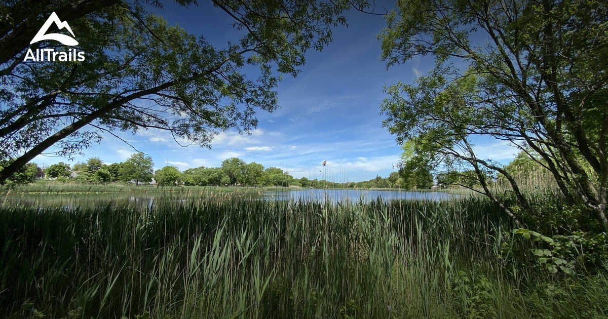 Best hikes and trails in Baisley Pond Park | AllTrails