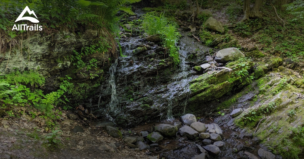 Best hikes and trails in Barrett Park | AllTrails