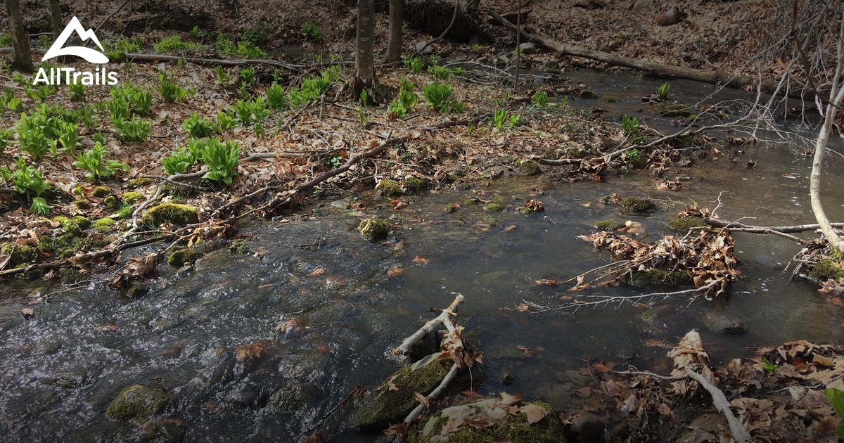 Best hikes and trails in Bittner Park | AllTrails