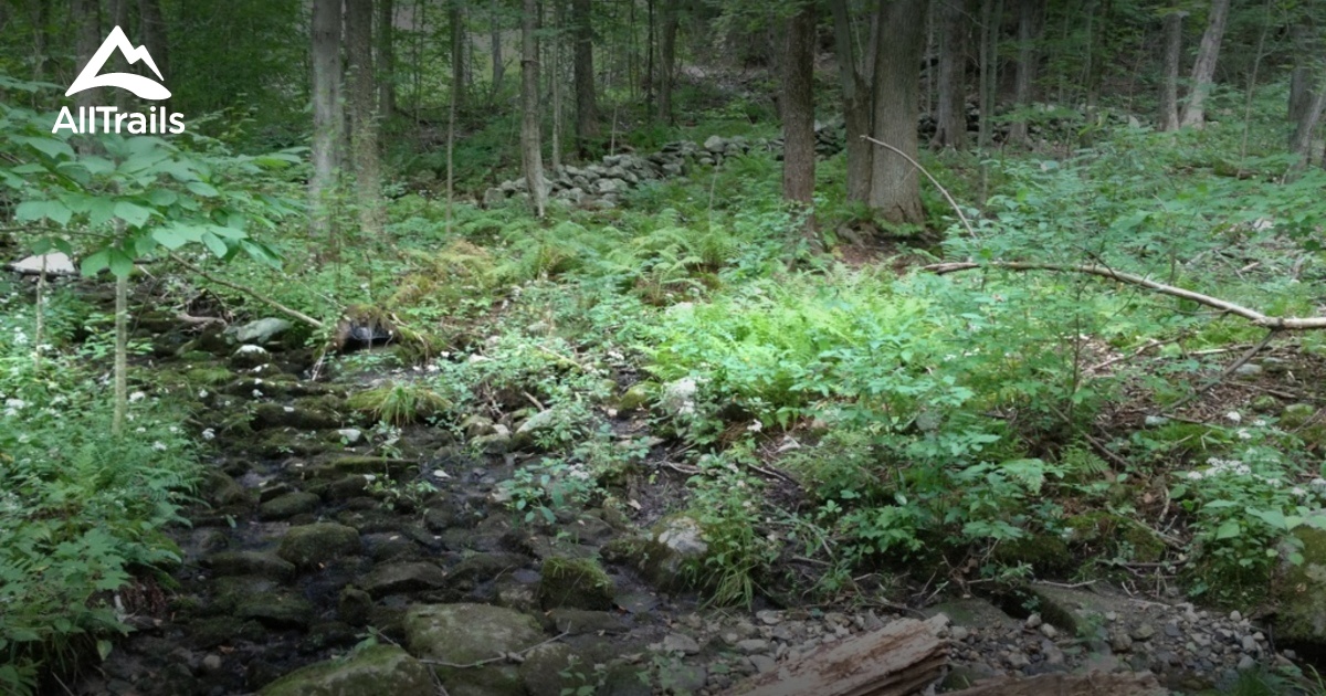 Best hikes and trails in Boynton Park | AllTrails