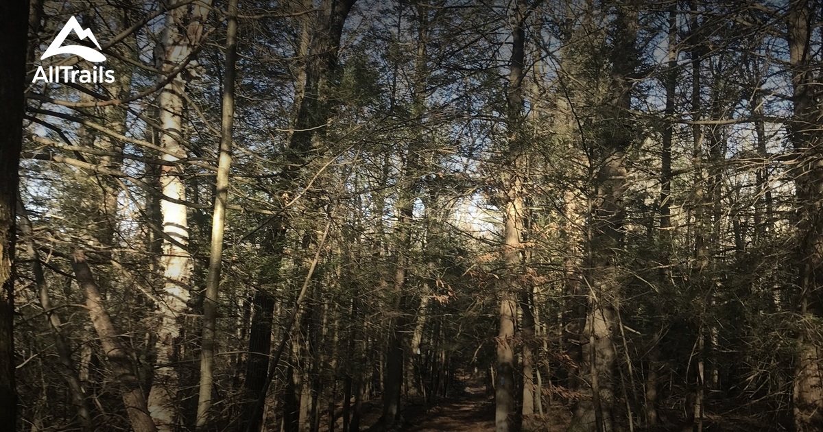 Best hikes and trails in Brodie Park | AllTrails