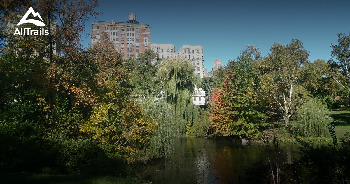 Central Park: as melhores caminhadas e trilhas | AllTrails
