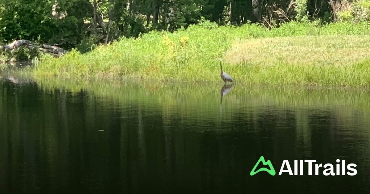 Melhores trilhos e caminhadas em Clark Community Park | AllTrails