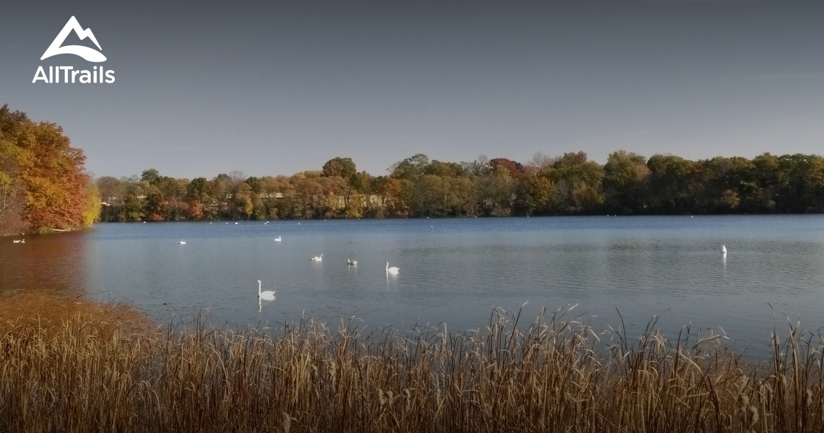 Best Trails in Farm Pond Park - Massachusetts | AllTrails
