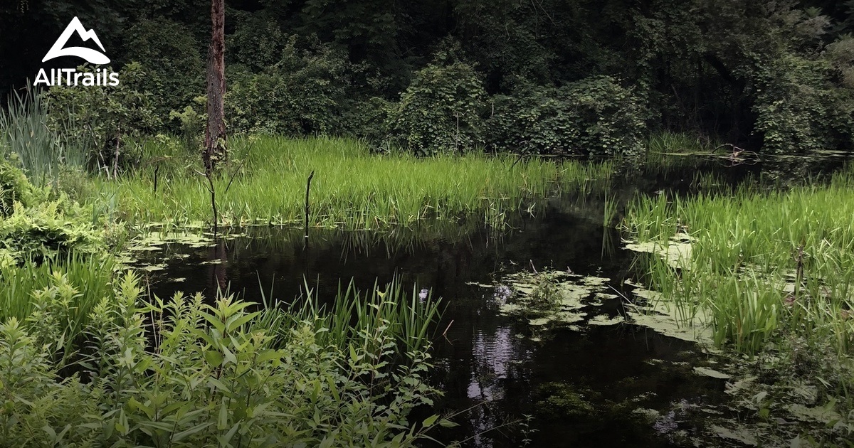 Best hikes and trails in Farm Pond Park | AllTrails