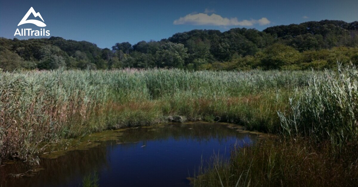 Best hikes and trails in Forest River Conservation Area | AllTrails