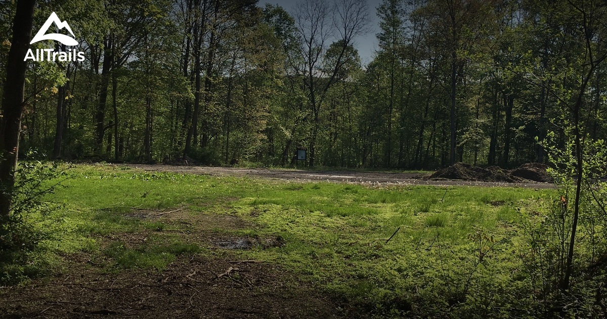 Best hikes and trails in Linbrook Park | AllTrails