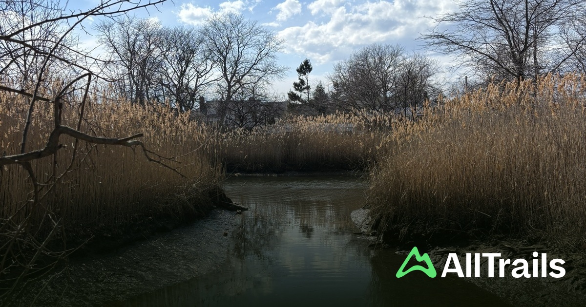 Die Besten Routen für Vogelbeobachtung in Milburn Creek Park | AllTrails