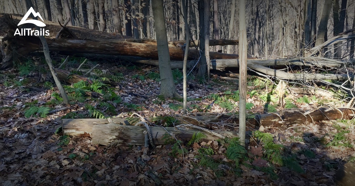 Best hikes and trails in Moon Park | AllTrails