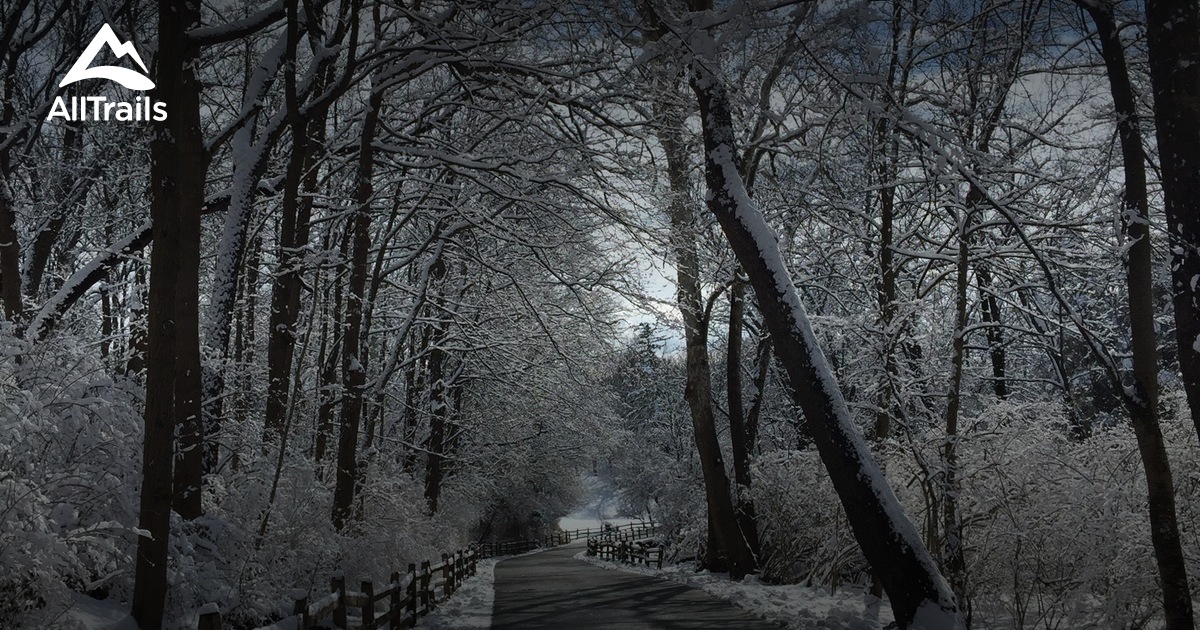 Best hikes and trails in Museum Park | AllTrails