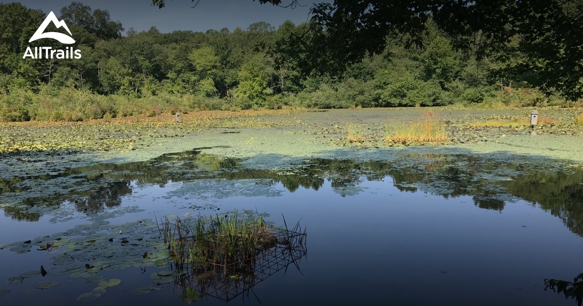 Best hikes and trails in Pequot Woods Public Area | AllTrails