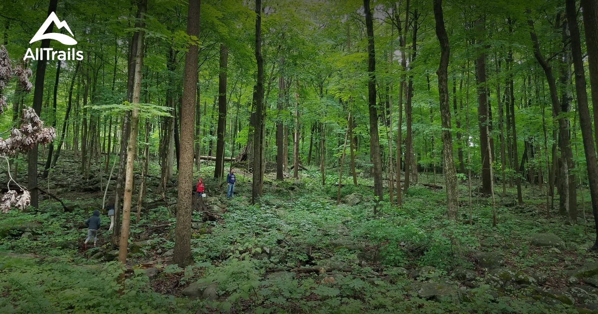 Best hikes and trails in Ringing Rock Park | AllTrails