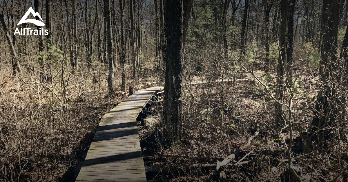 Best hikes and trails in Spring Hill Conservation Land | AllTrails