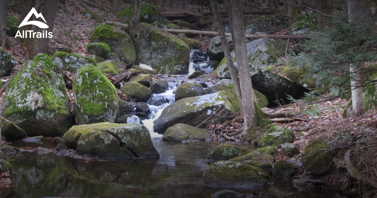 Best Trails in Webb Mountain Park - Connecticut | AllTrails