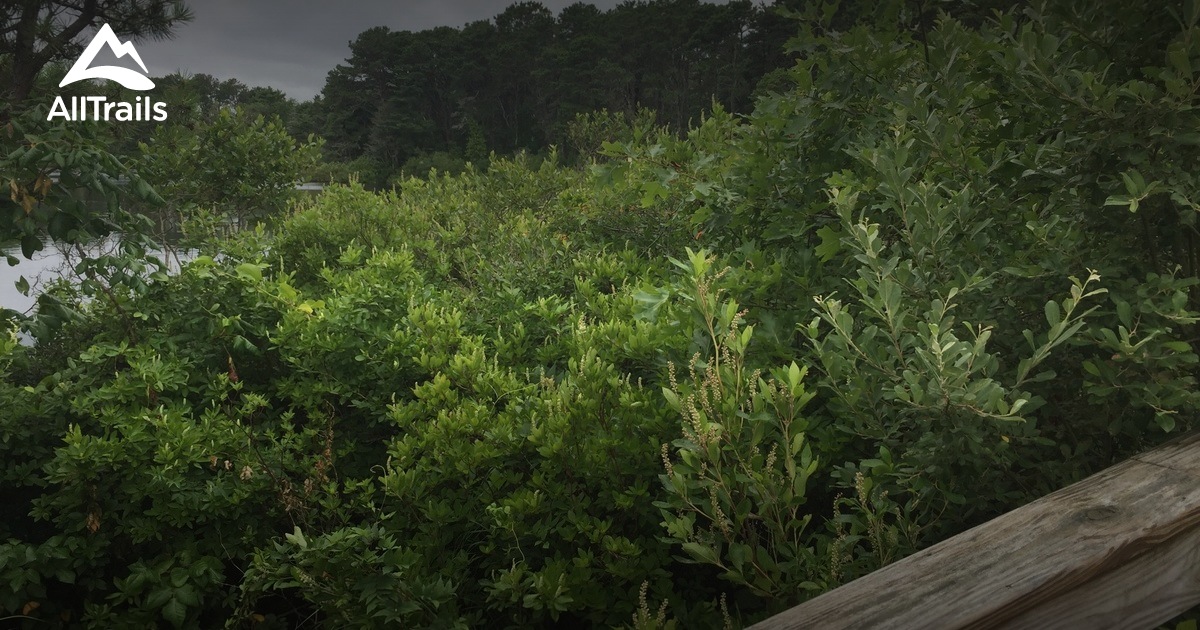 Best hikes and trails in Wiley Park | AllTrails