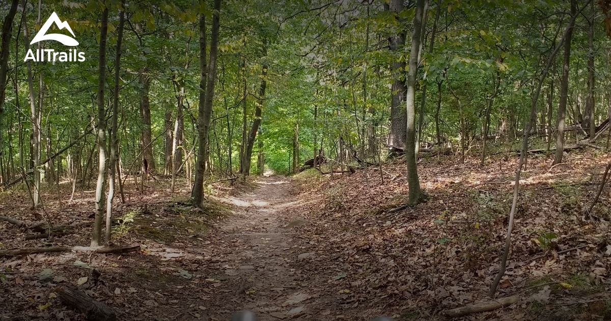Best hikes and trails in Willowbrook Park | AllTrails