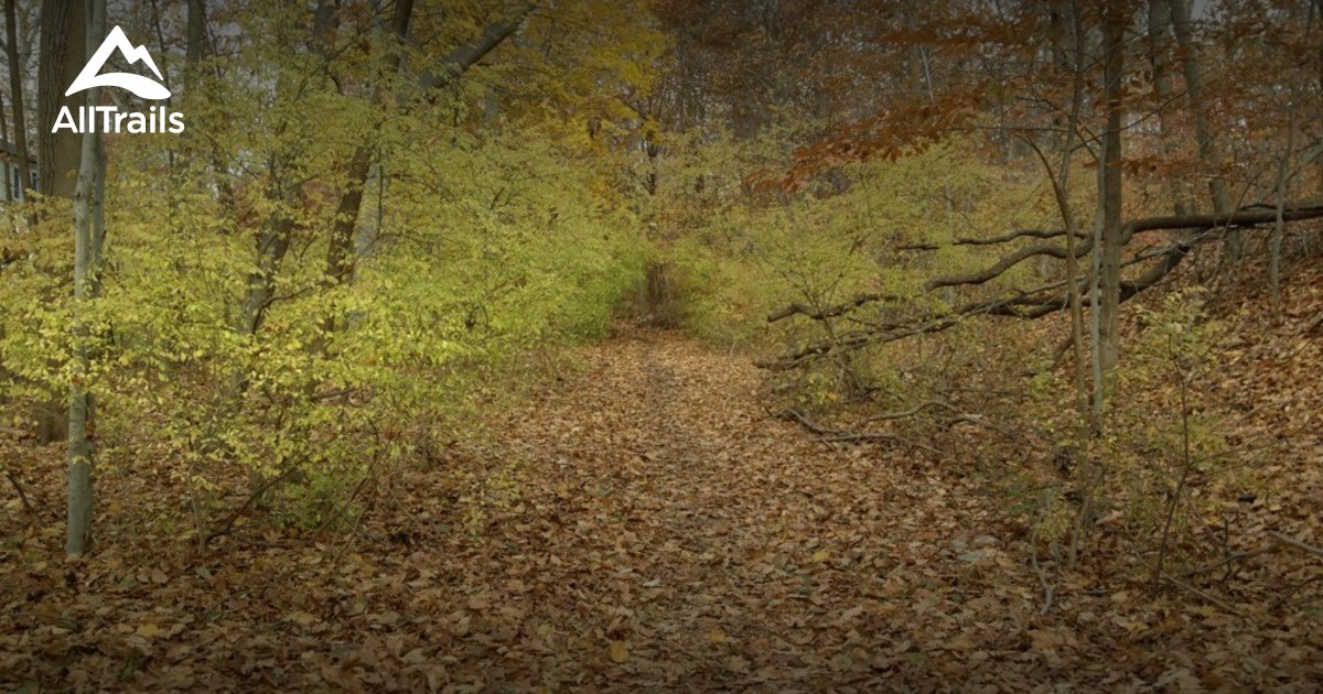 Best hikes and trails in Woodland Park | AllTrails