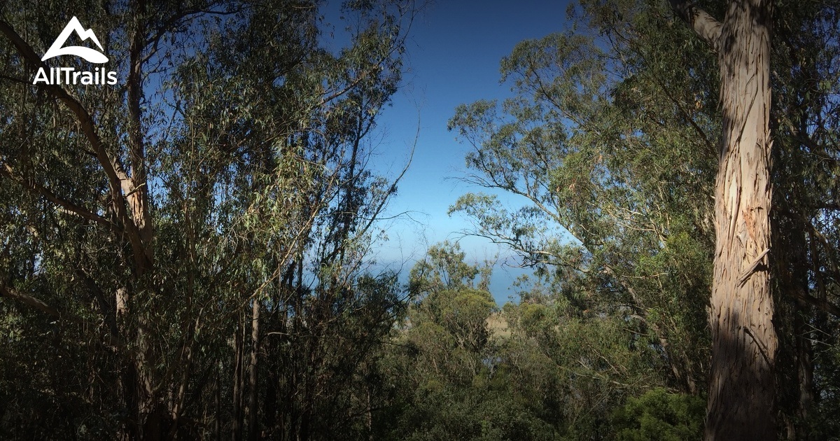 Best Hikes and Trails in Albany Hill Park | AllTrails