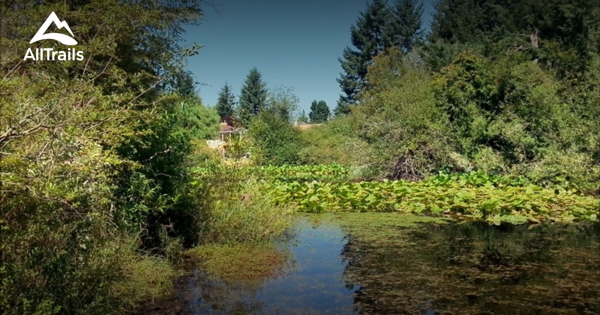 Best hikes and trails in China Lake Park | AllTrails