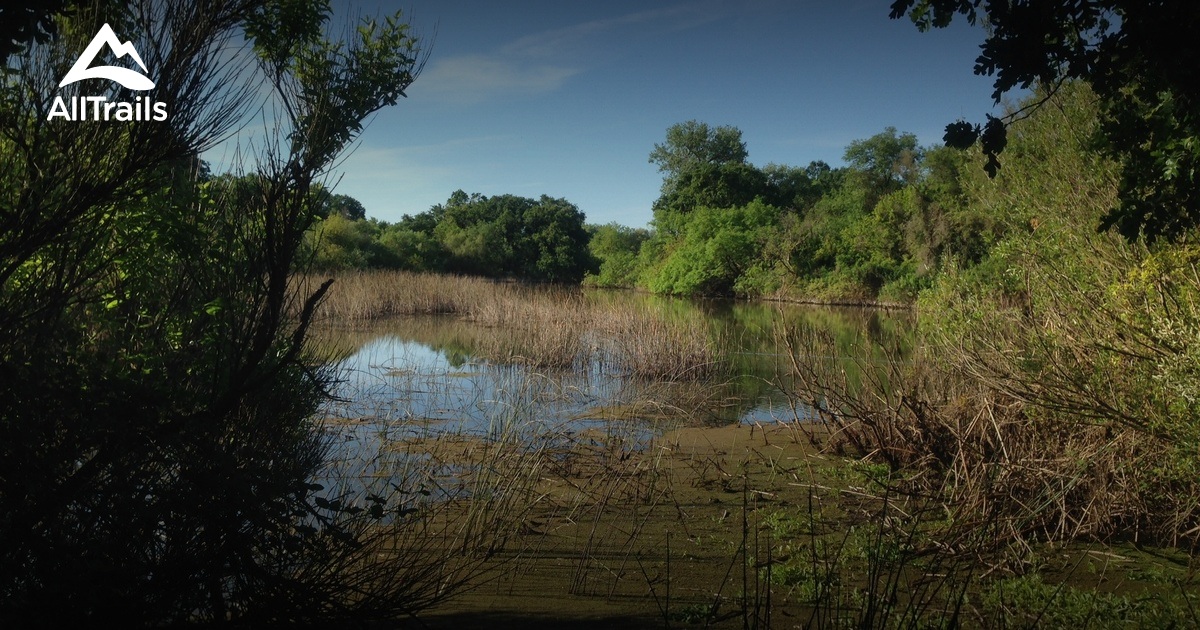 Best hikes and trails in Cosumnes River Preserve | AllTrails