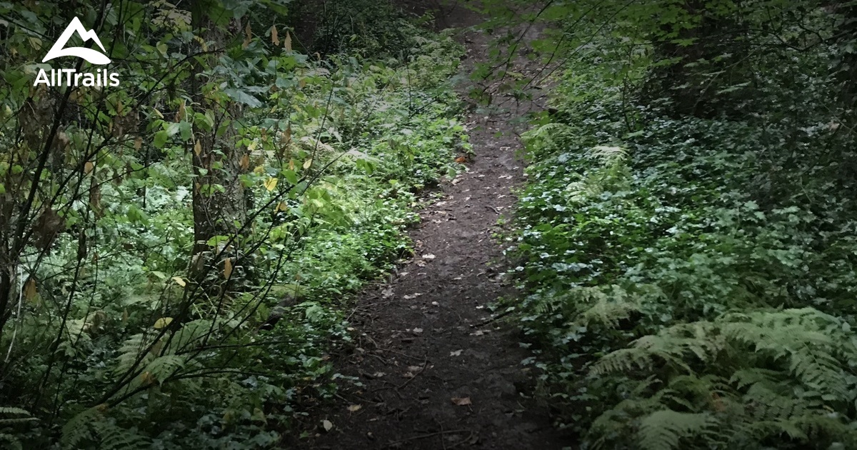 Best hikes and trails in David Douglas Park | AllTrails