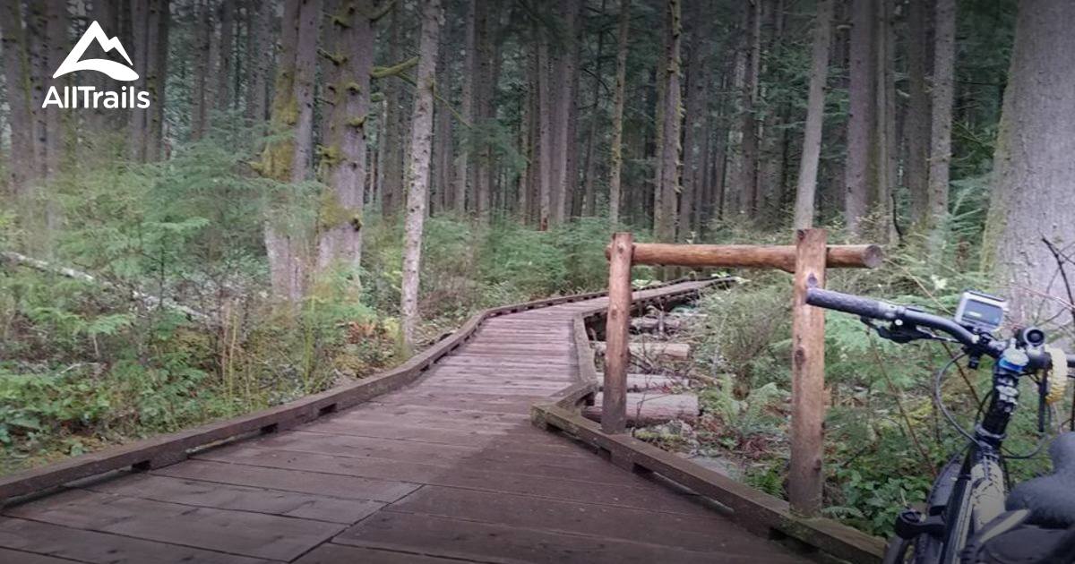 Best Trails in Duthie Hill Park - Washington | AllTrails