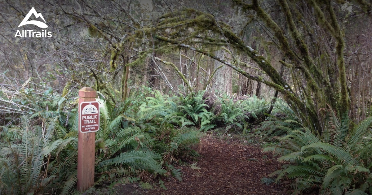 Best Trails in Farrell Marsh Park - Washington | AllTrails