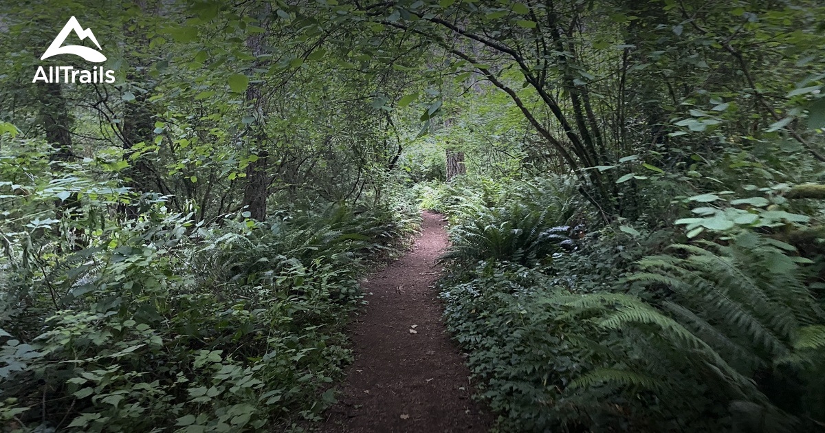 Best hikes and trails in Farrell Marsh Park | AllTrails