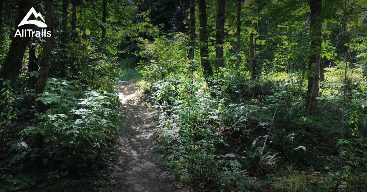 Best hikes and trails in Forbes Valley Wetlands | AllTrails