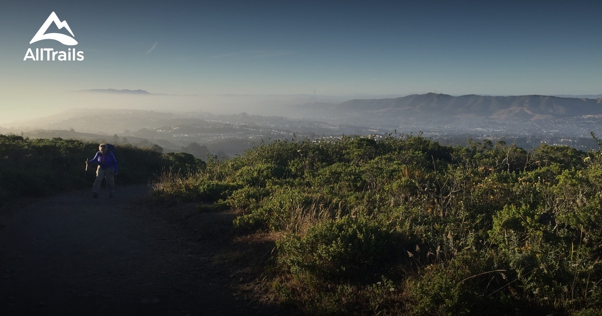 Best hikes and trails in Gellert Park | AllTrails