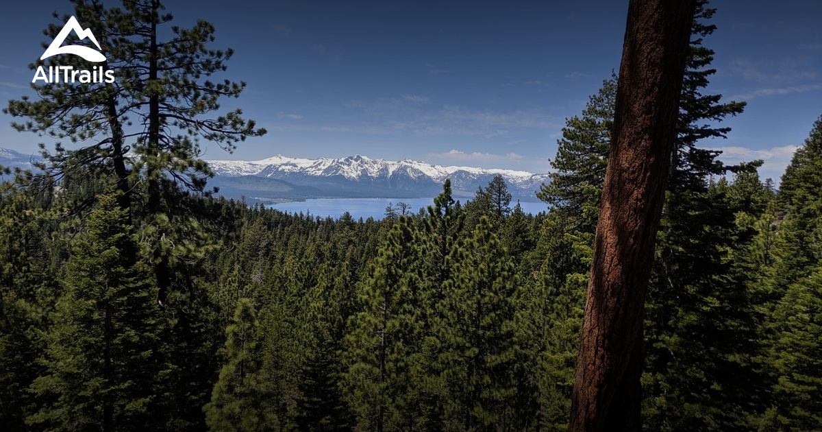 Best bird watching trails in Genoa Park | AllTrails