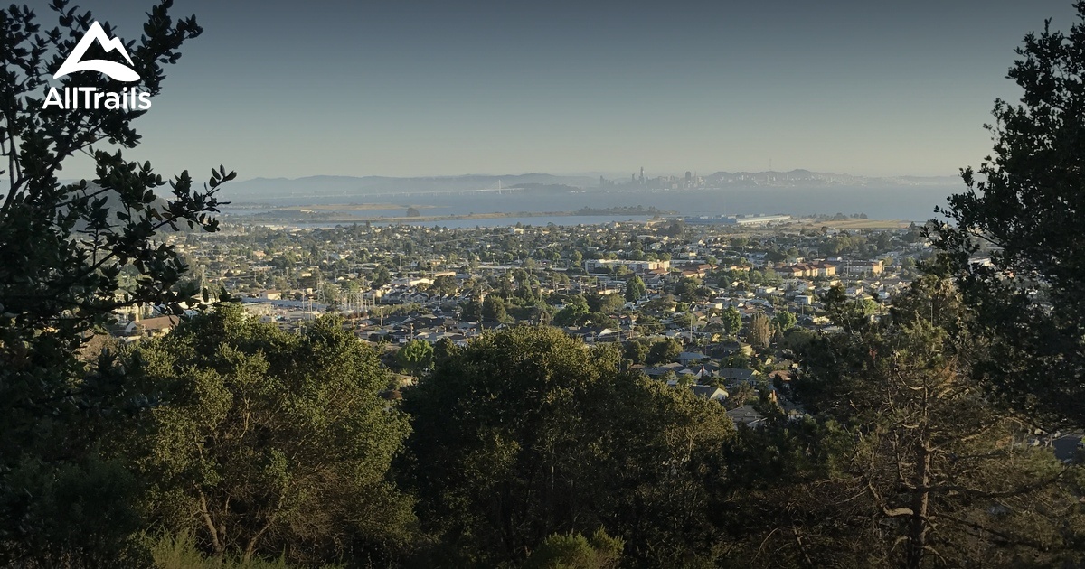 Best hikes and trails in Hillside Natural Area | AllTrails