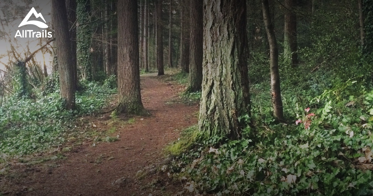 Best hikes and trails in Leverich Park | AllTrails