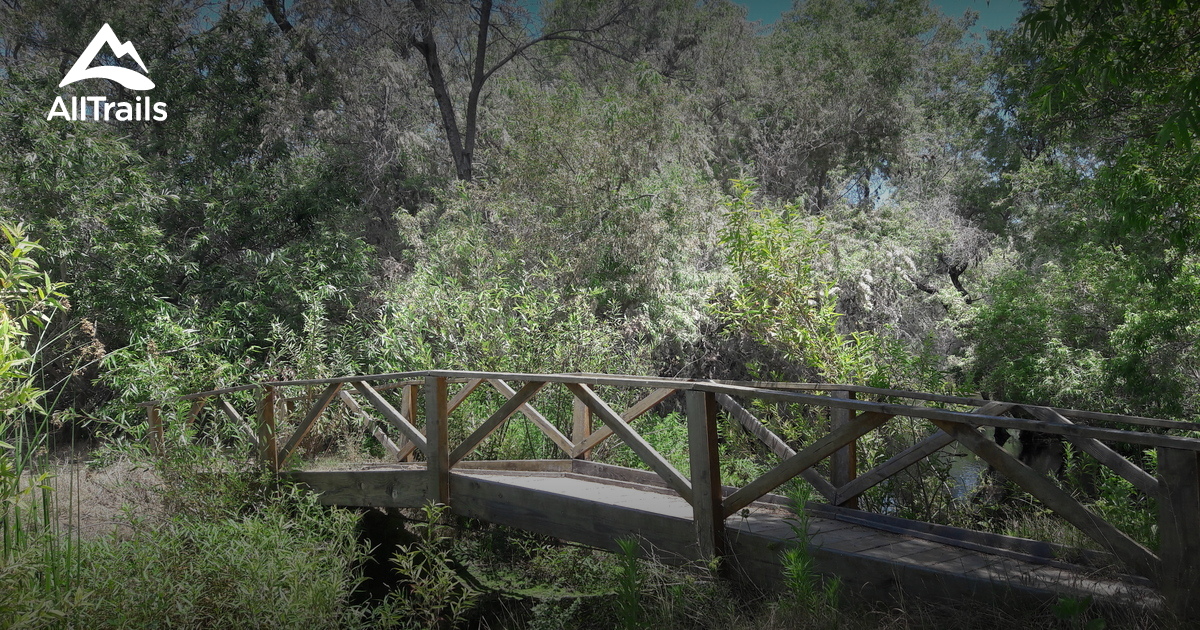 Best hikes and trails in Madrona Marsh Nature Preserve | AllTrails