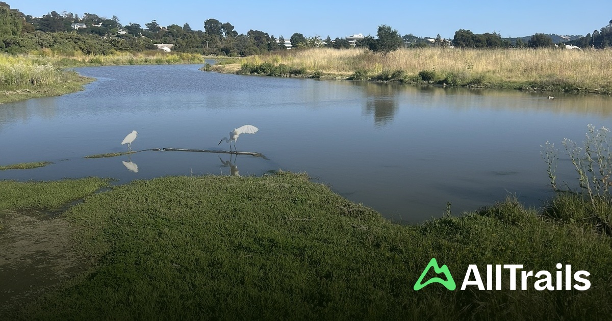 Best hikes and trails in Martinez Waterfront Park | AllTrails