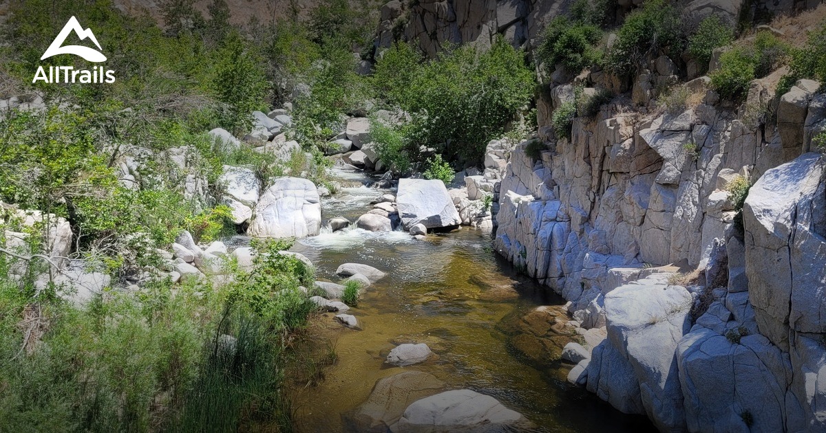 Best hikes and trails in Mojave River Forks Reg Park | AllTrails