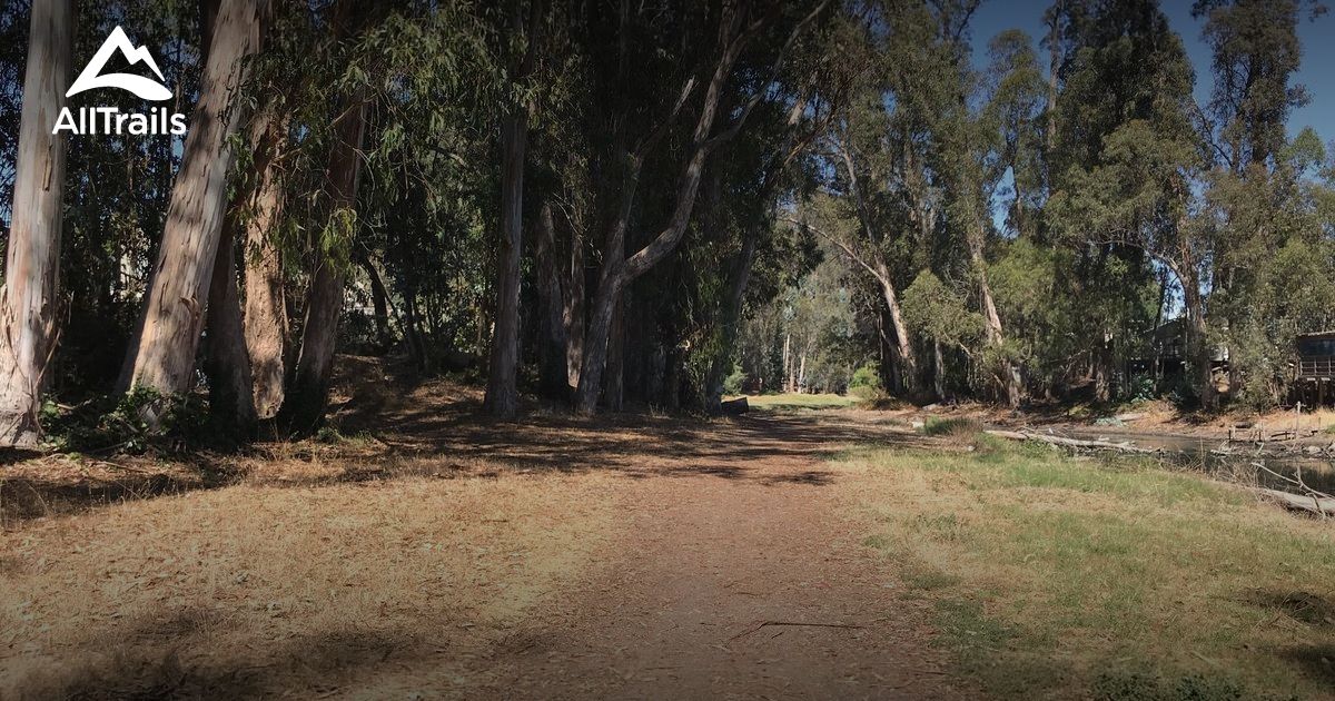 Best hikes and trails in Moran Lake Park | AllTrails