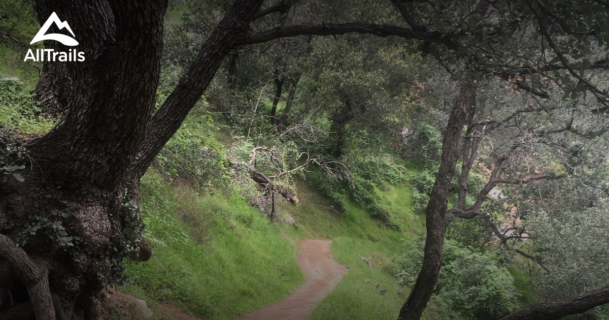 Best Trails in Mount Wilson Trail Park - California | AllTrails