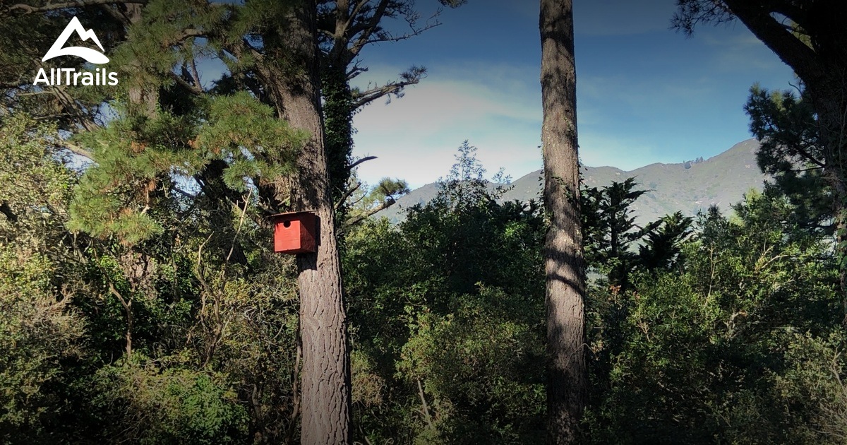 Best hikes and trails in Old Mill Park | AllTrails