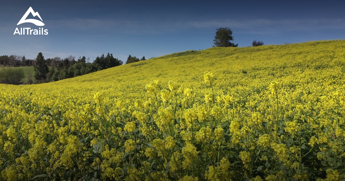 Best hikes and trails in Old Mission Park | AllTrails